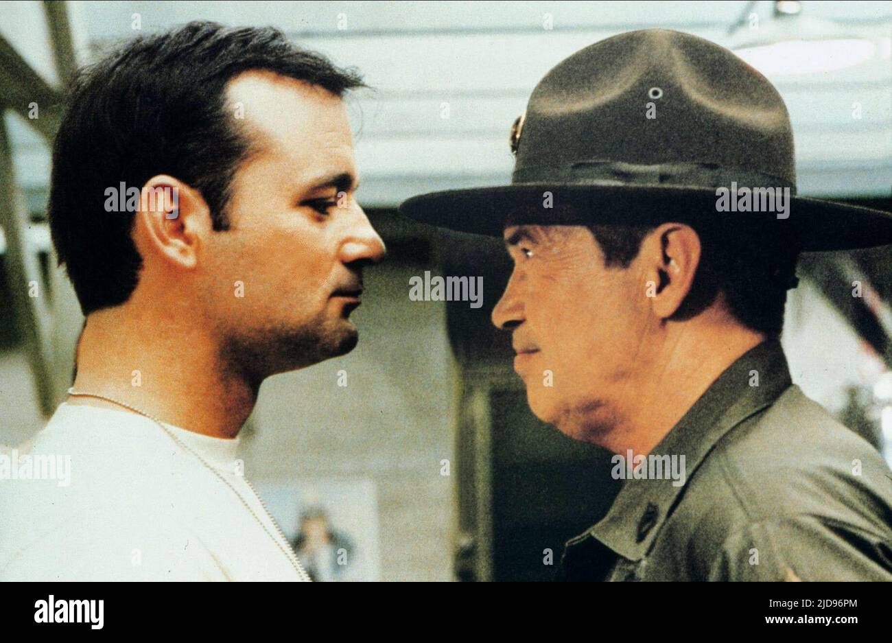 Bill Murray Stripes Art