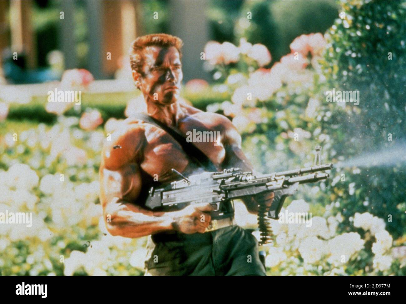 ARNOLD SCHWARZENEGGER, COMMANDO, 1985 Stock Photo - Alamy