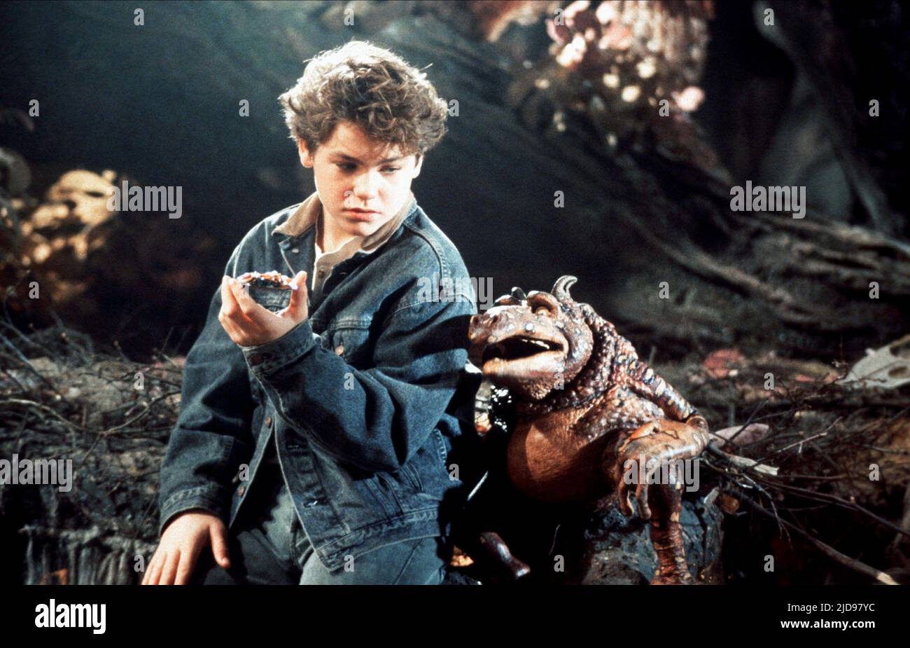 JASON JAMES RICHTER, THE NEVERENDING STORY III: ESCAPE FROM FANTASIA ...