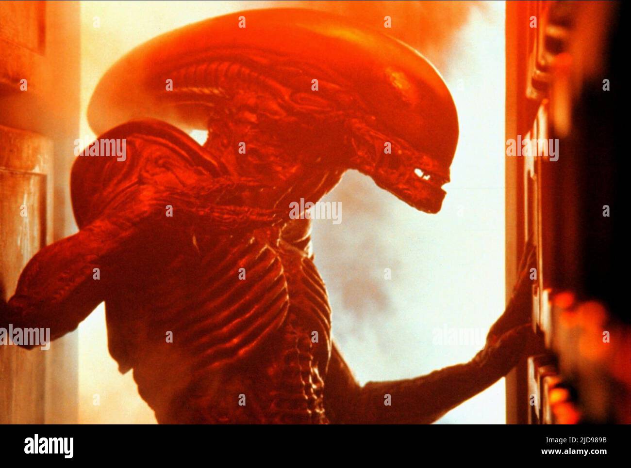 Alien 3 movie hi-res stock photography and images - Alamy