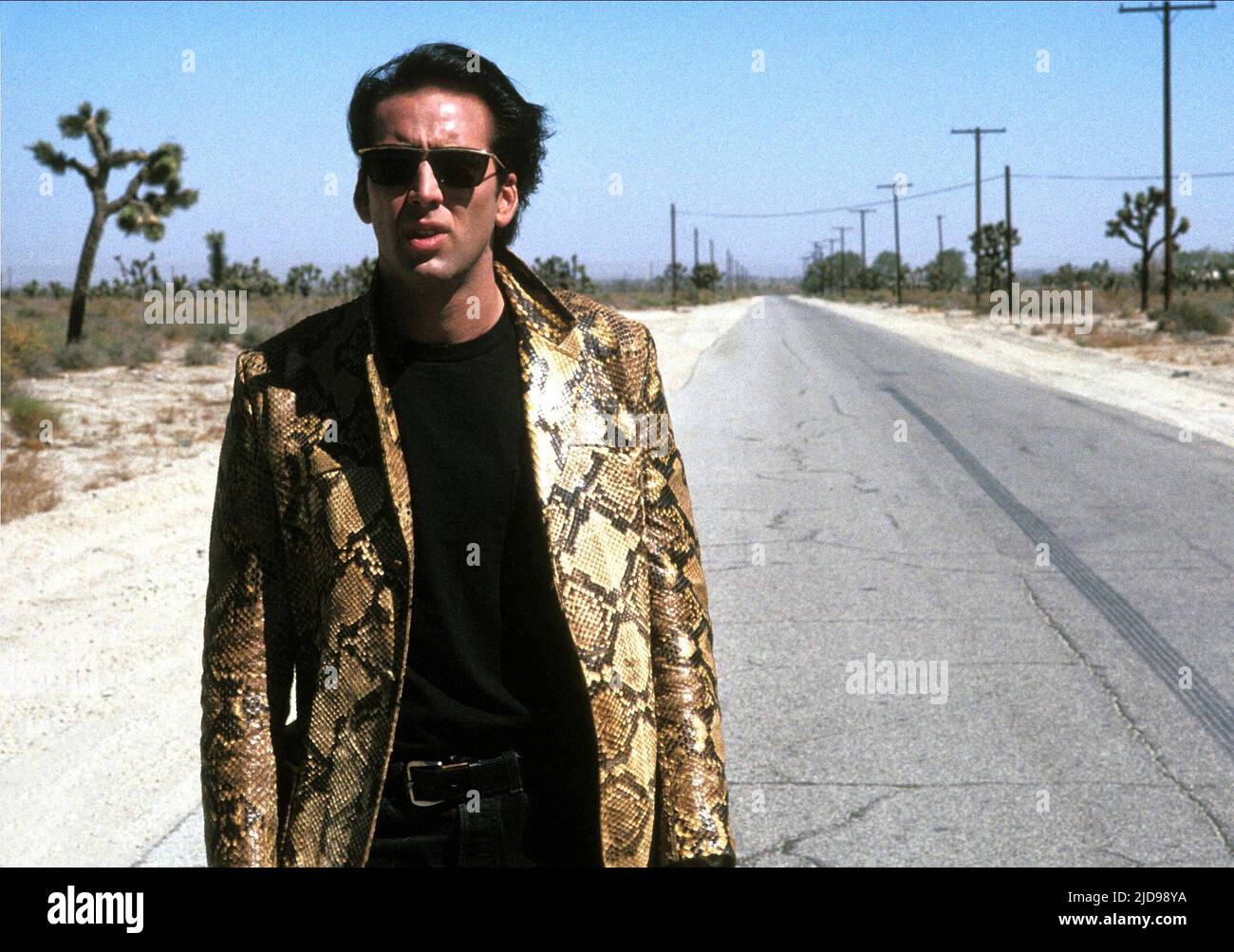 NICOLAS CAGE, WILD AT HEART, 1990 Stock Photo - Alamy