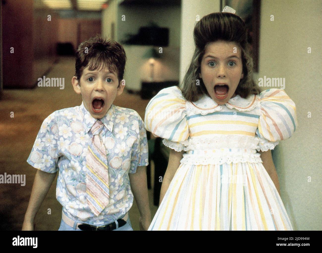 The stupids hi-res stock photography and images - Alamy