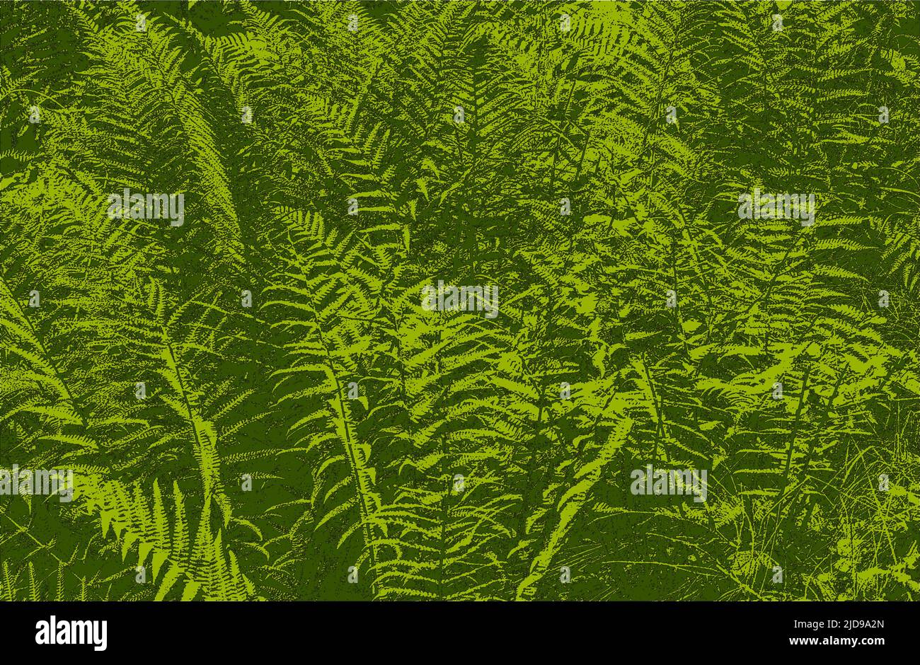 Distressed overlay fern leaf macro texture with streaks. grunge black ...
