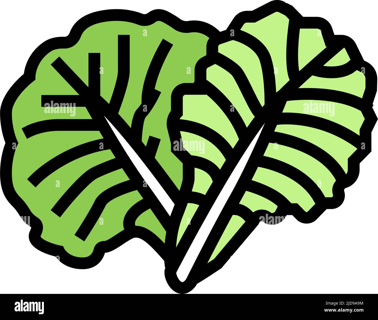 leaf cabbage color icon vector illustration Stock Vector Image & Art ...