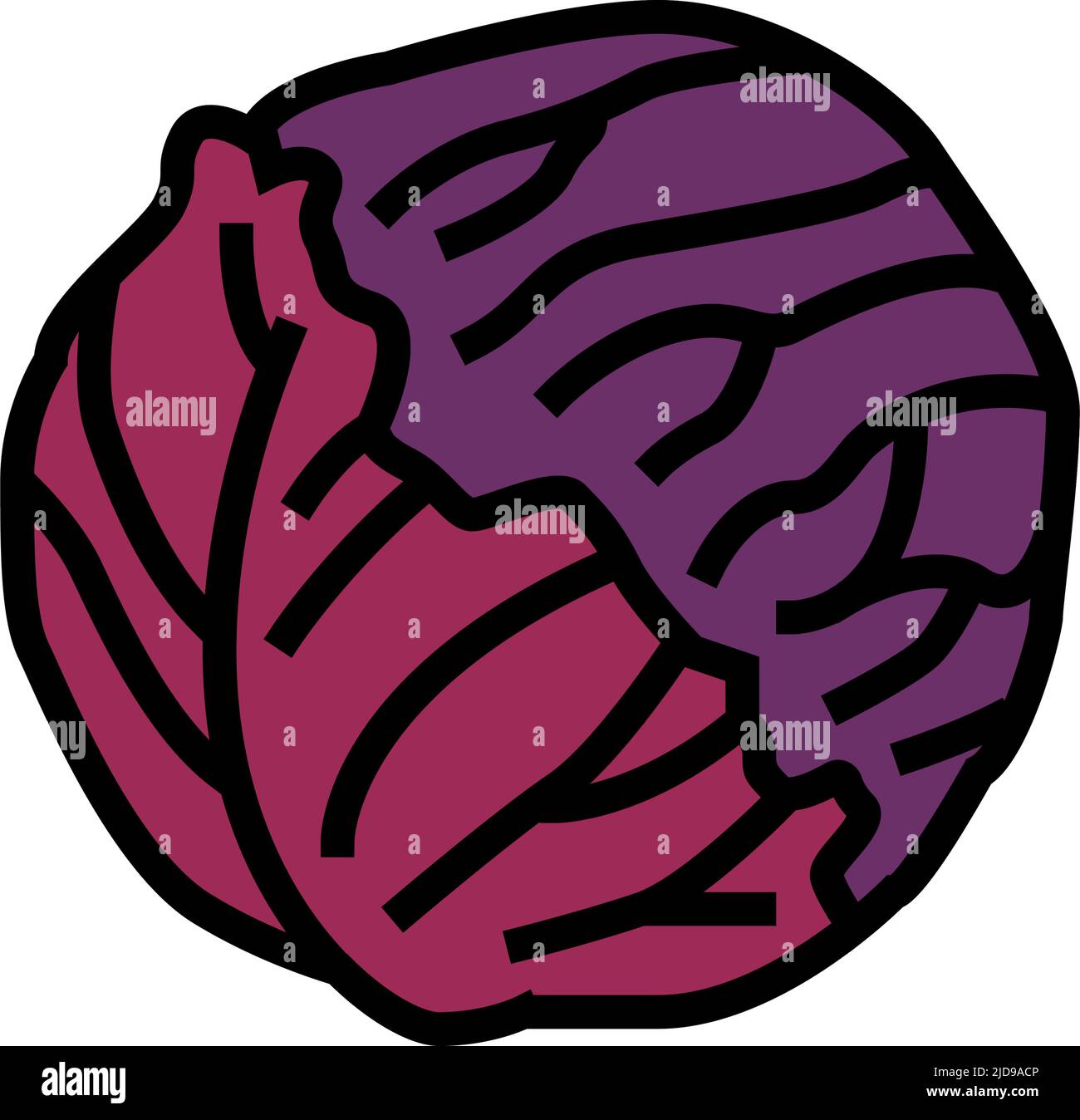 red cabbage color icon vector illustration Stock Vector Image & Art - Alamy