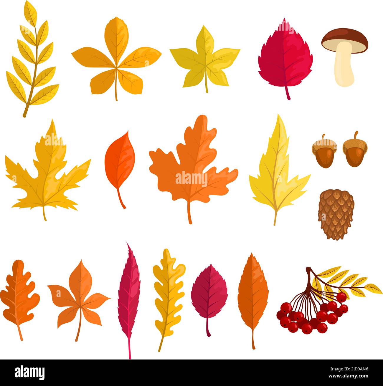 Set of illustrations of autumn leaves in cartoon style. Design element ...