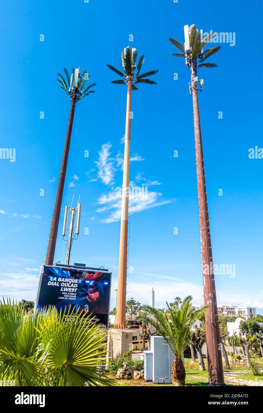Solar panels on the plastic palm tree constructions in Casablanca ...