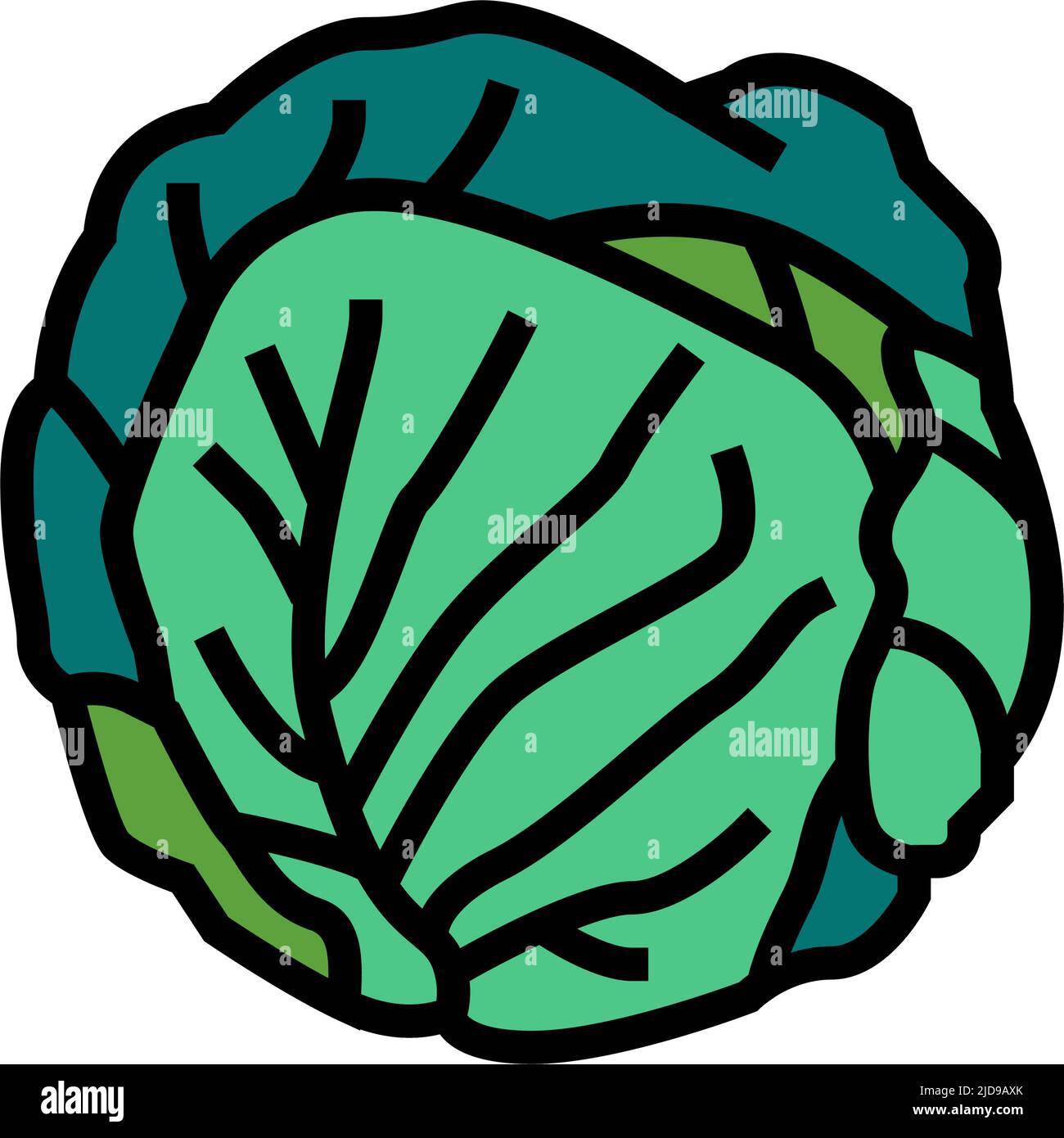 green cabbage color icon vector illustration Stock Vector Image & Art ...