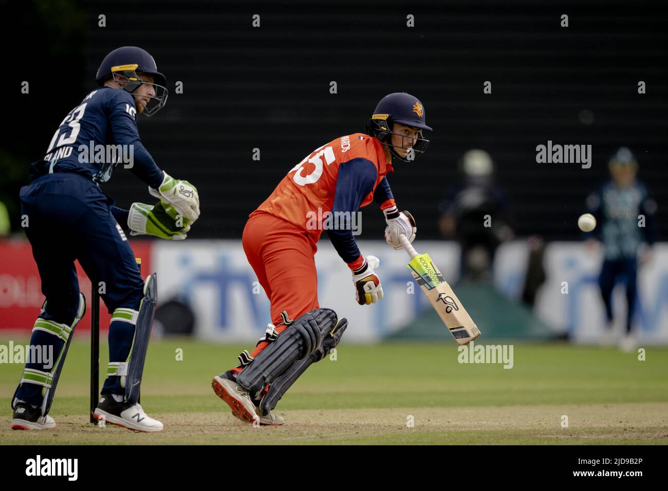 Scott edwards cricket hi-res stock photography and images - Alamy