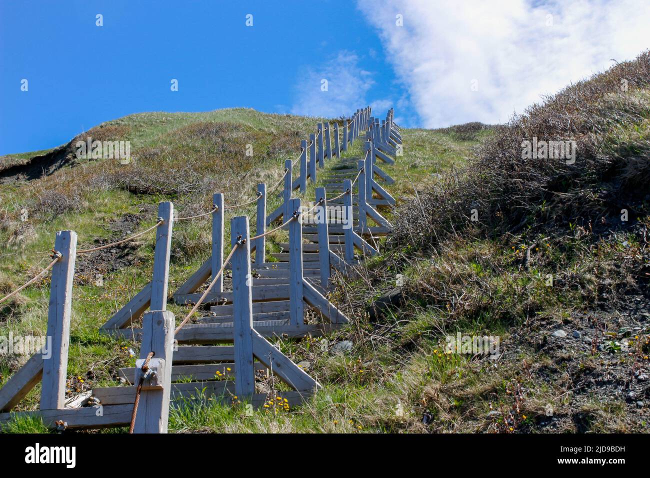 Long island newfoundland hi-res stock photography and images - Alamy