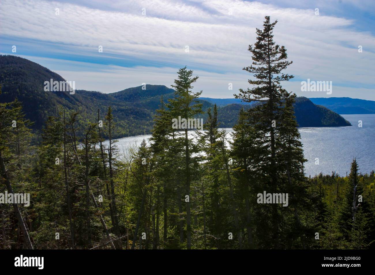 woody point newfoundland, views from a lookout Stock Photo - Alamy