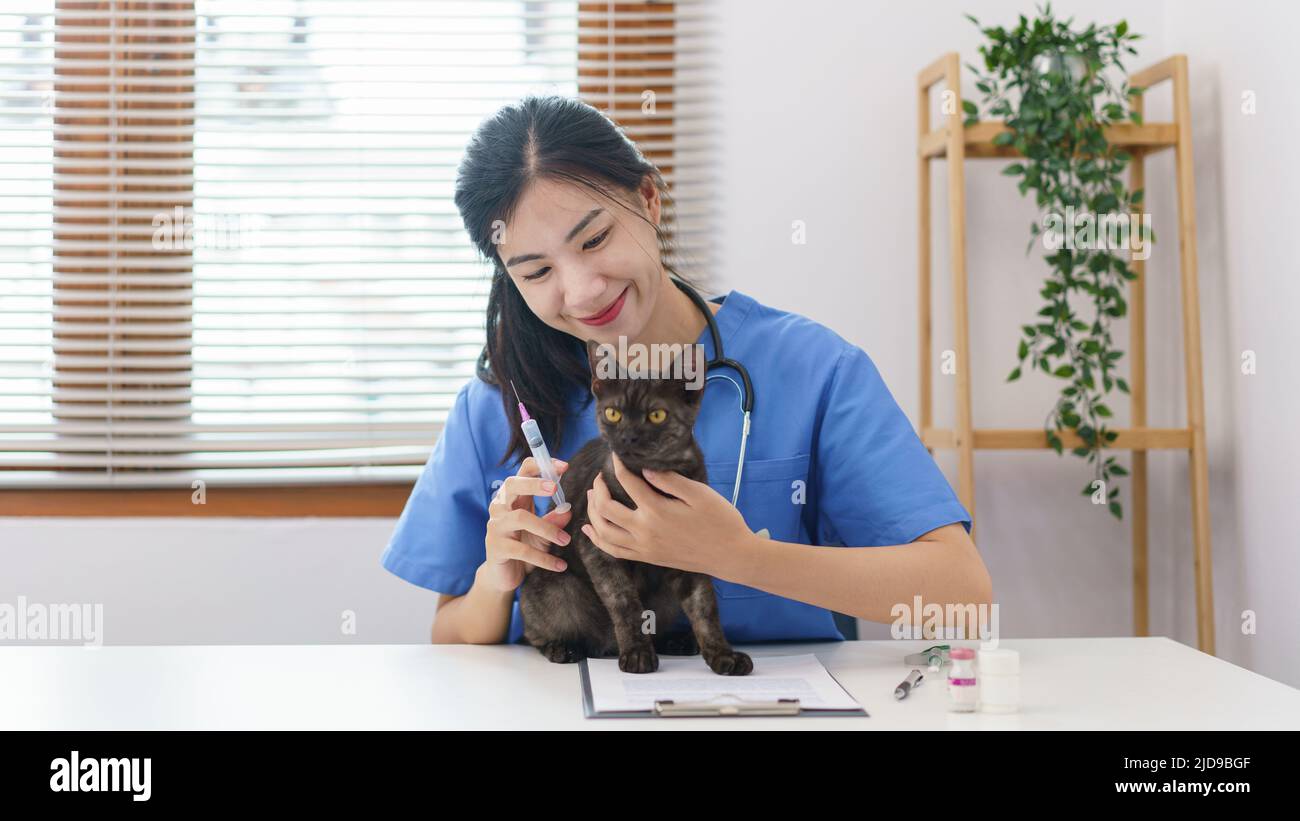 Pet care concept, Female veterinary prepare vaccinations to injection ...