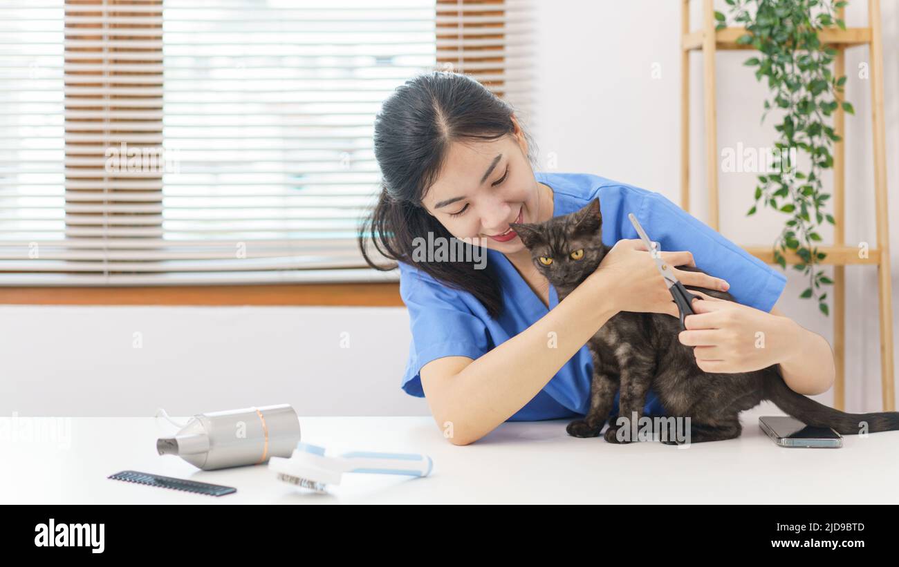 Pet salon concept, Female veterinarian hugging cat after using scissors ...