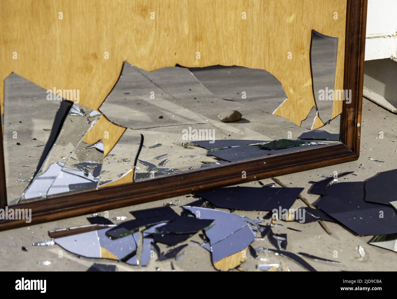 Detail of destruction and garbage, danger of cutting Stock Photo - Alamy