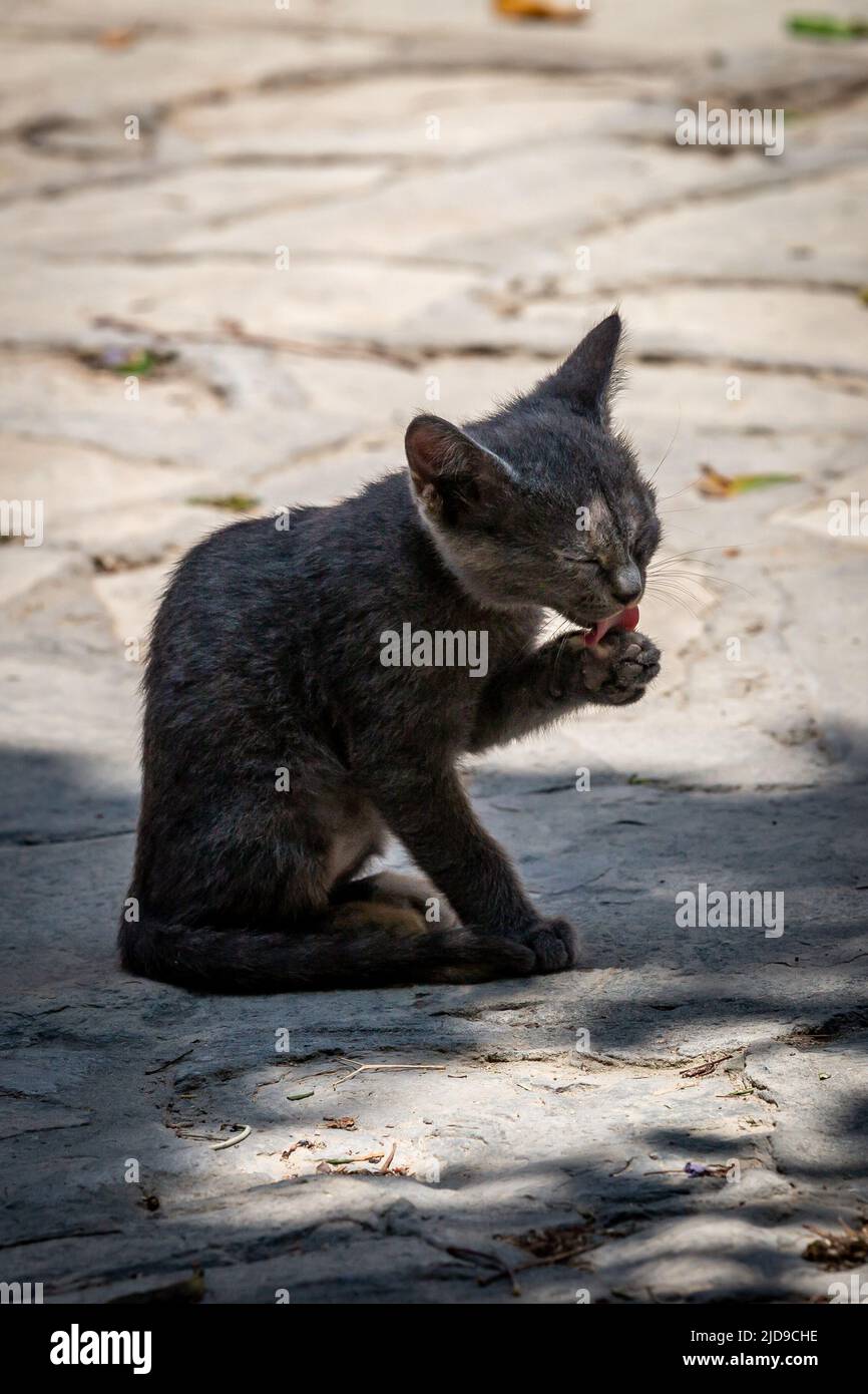 White background northern cyprus hi-res stock photography and images ...