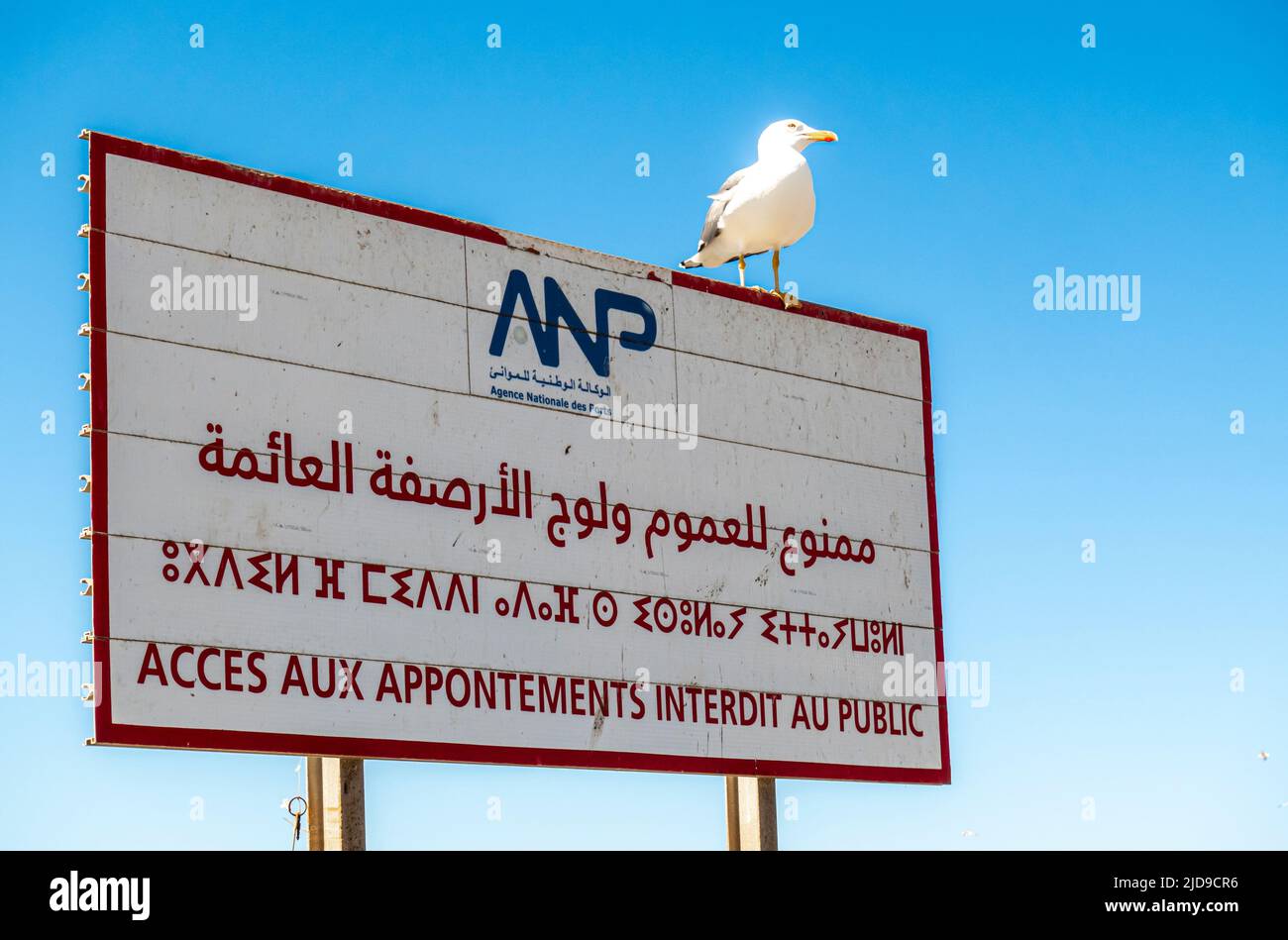 Berber arabic english sign signs hi-res stock photography and images ...