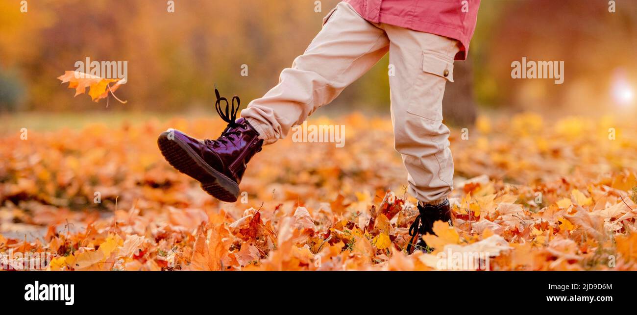 Preteen kid and golden retriever dog Stock Photo - Alamy