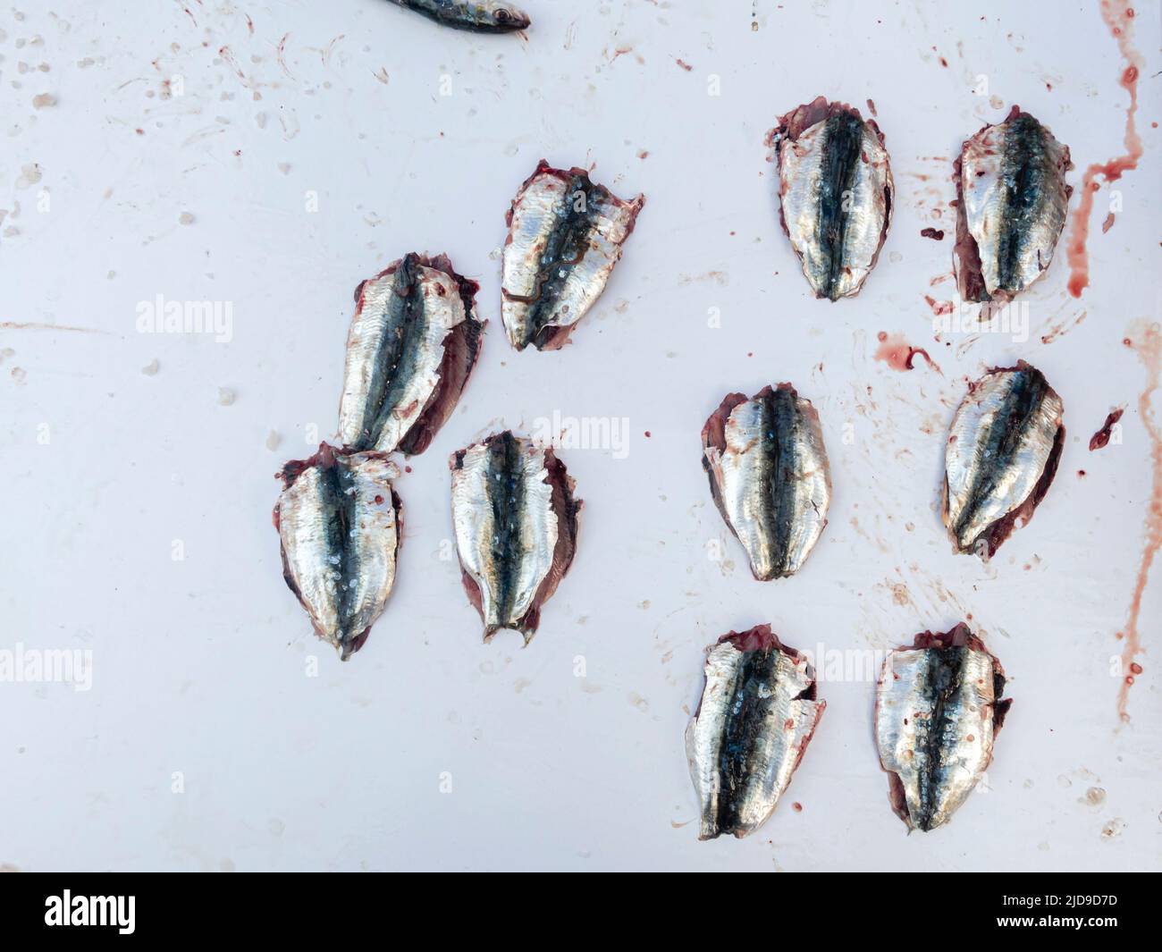 freshly caught sardines cut in half and displayed on a simple table ...