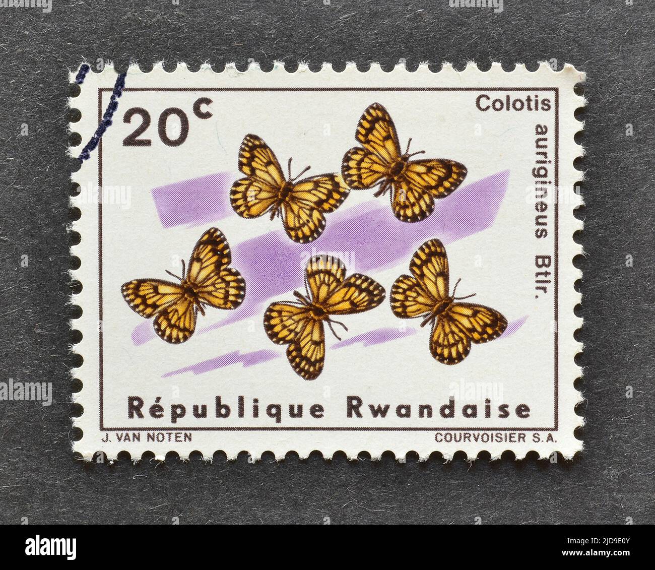 Colotis hi-res stock photography and images - Alamy