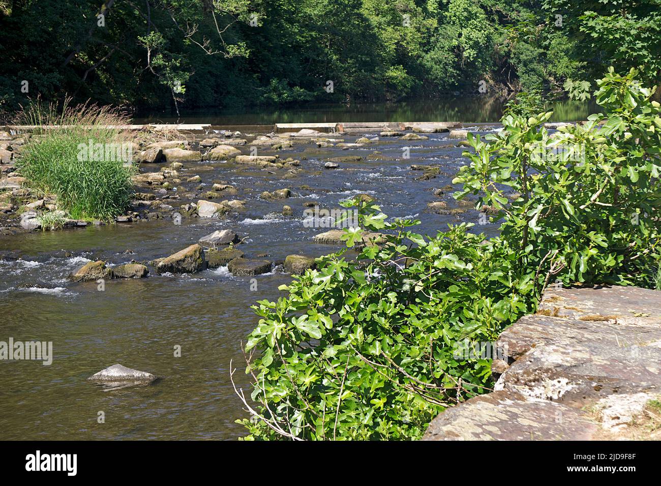 View on river Our at the village Vianden, canton of Vianden, Grand ...