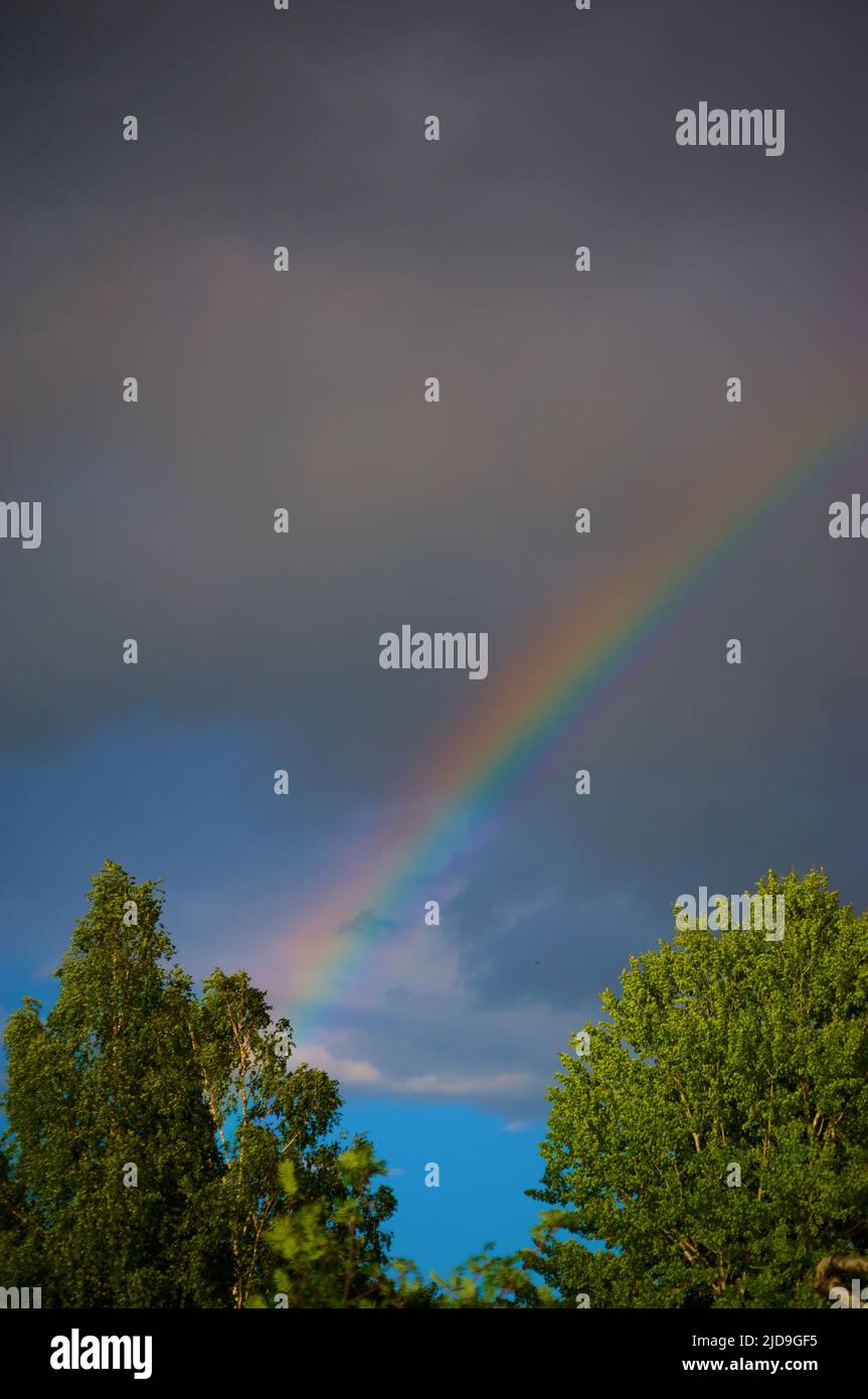 A rainbow over the trees Stock Photo - Alamy