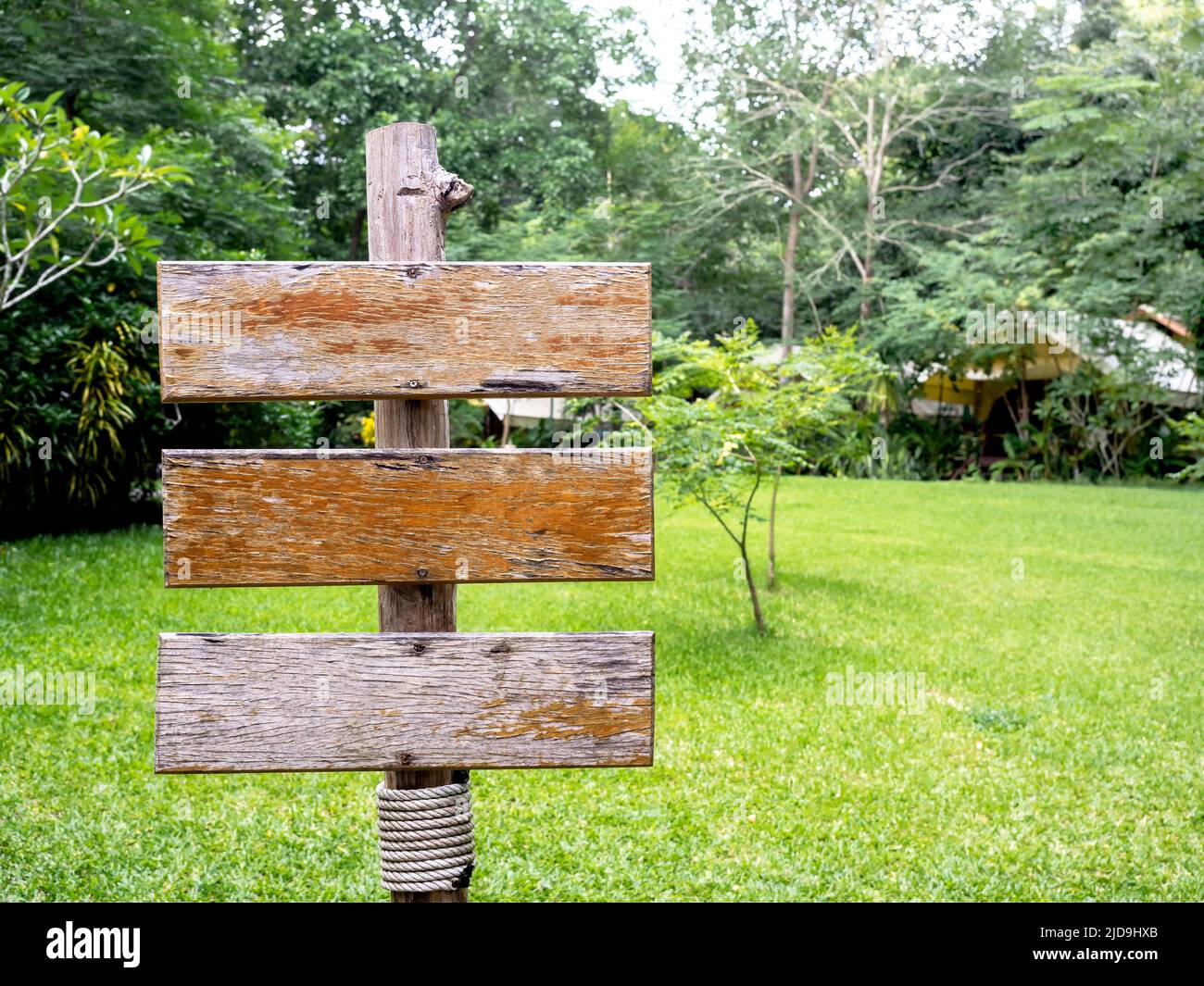Three empty old wood plank signs on the wooden pole near the green ...