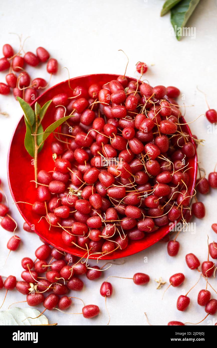 Gumi hi-res stock photography and images - Alamy