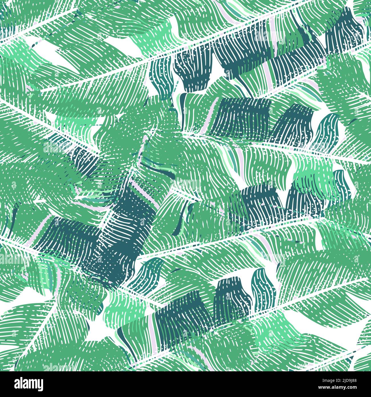 Torn banana leaf Stock Vector Images - Alamy