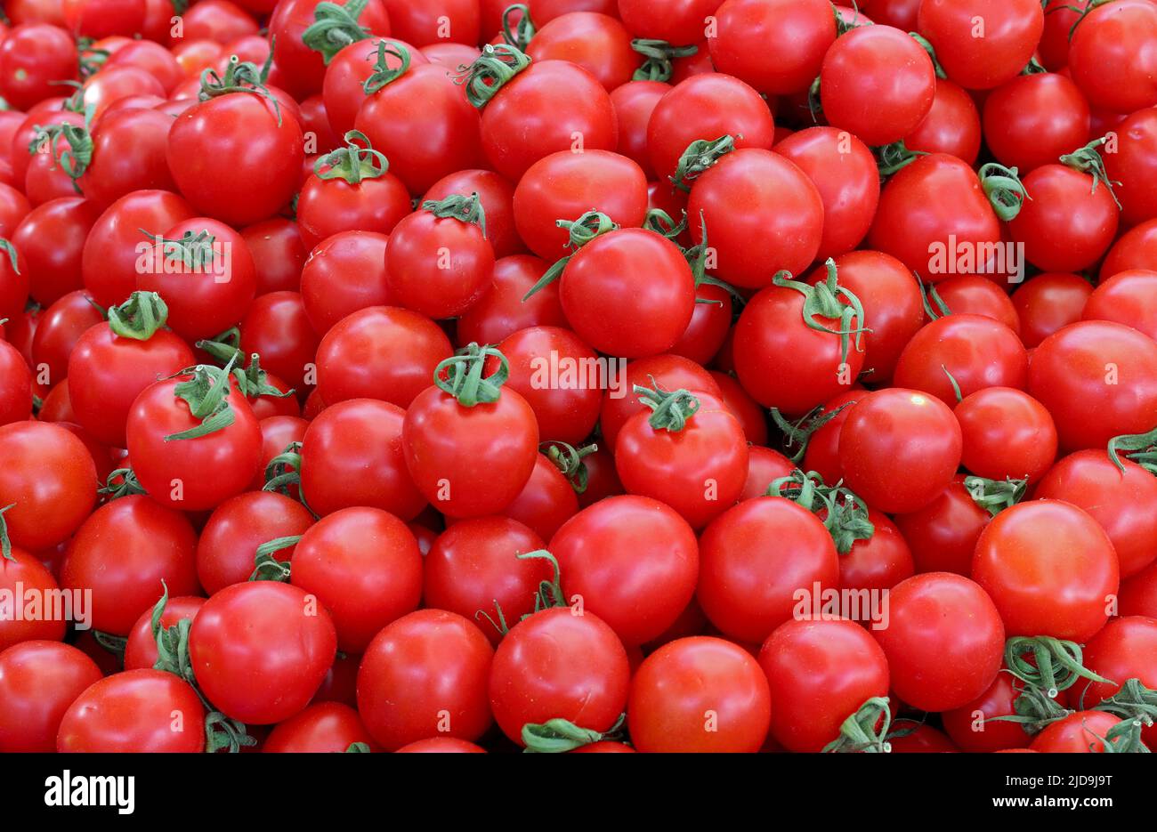 red tomatoes in the market Stock Photo - Alamy