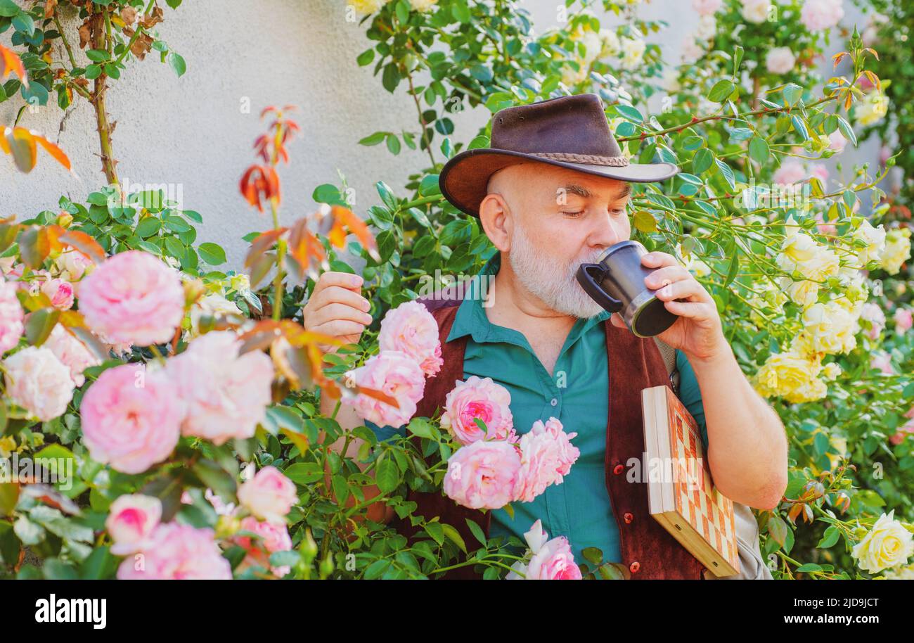 Senior man in roses garden drink tea coffee. Gardeners with spring ...