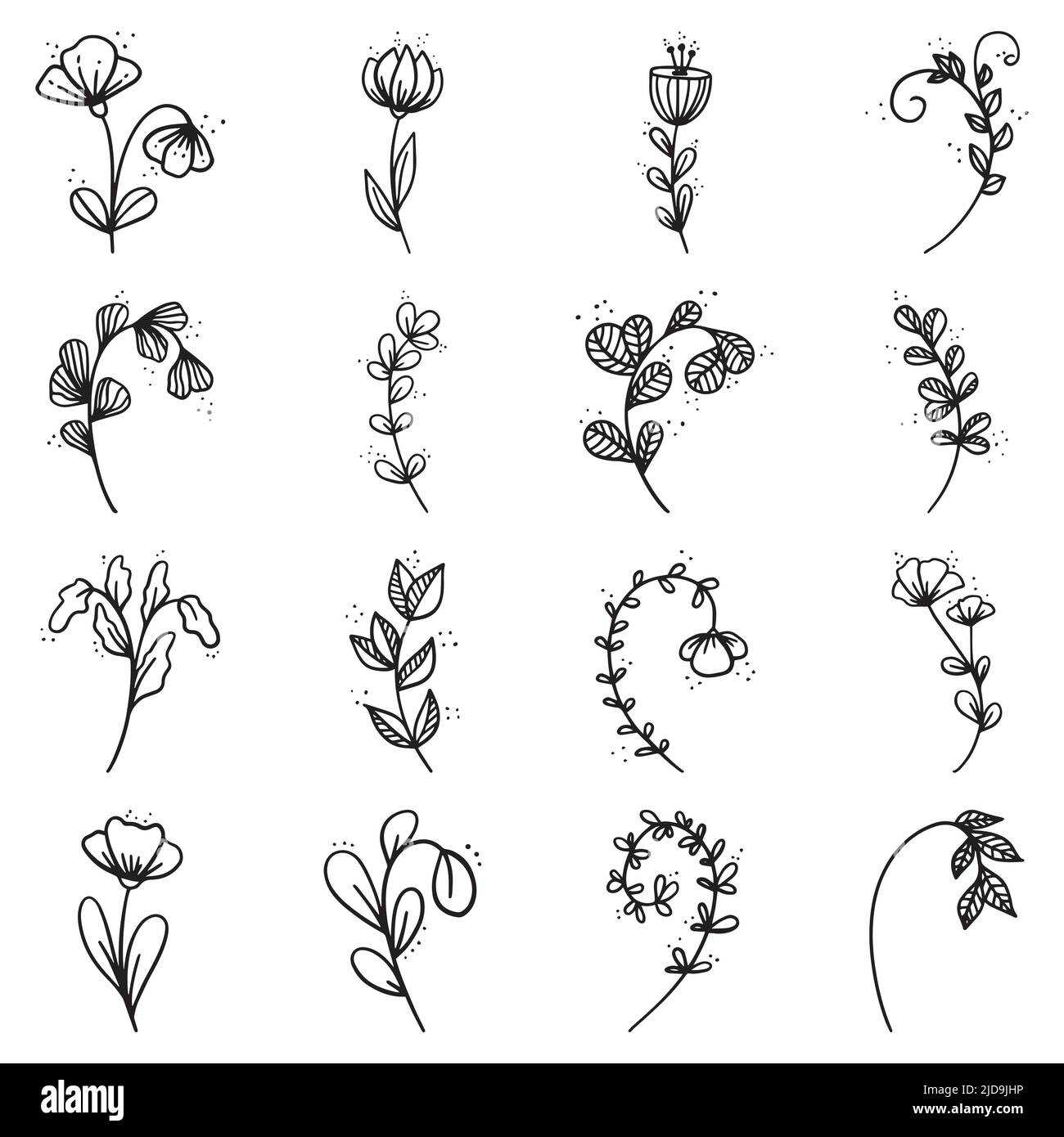 Set Of Hand Drawn Doodle Vector Leaves And Branches Collection Of Tree