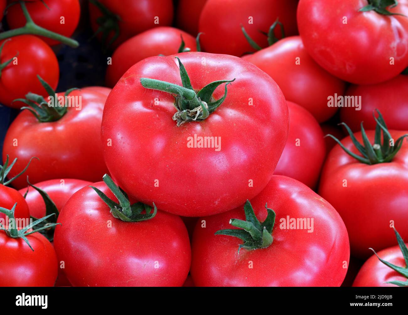 red tomatoes in the market Stock Photo - Alamy