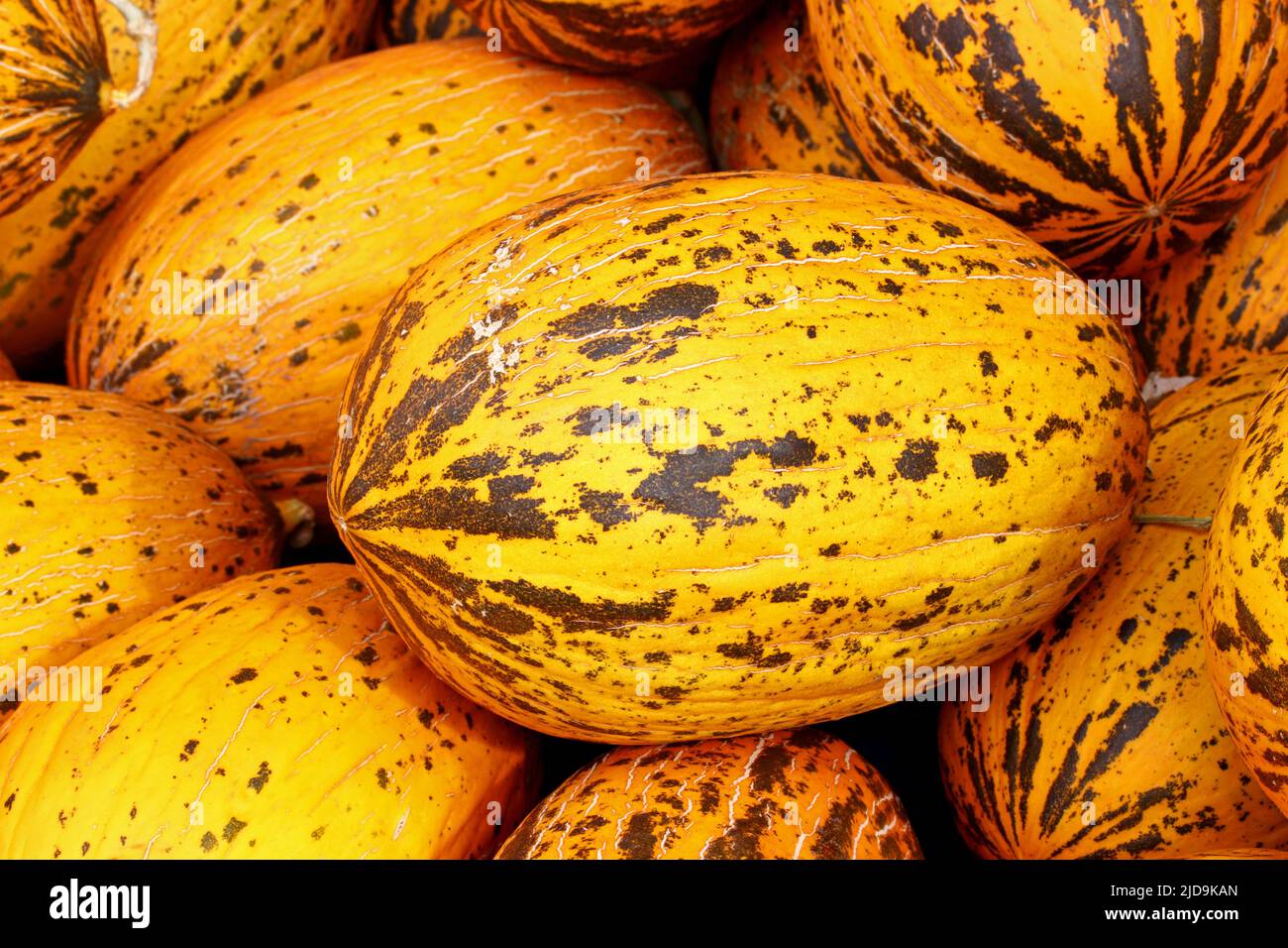 Turkey melons hi-res stock photography and images - Alamy