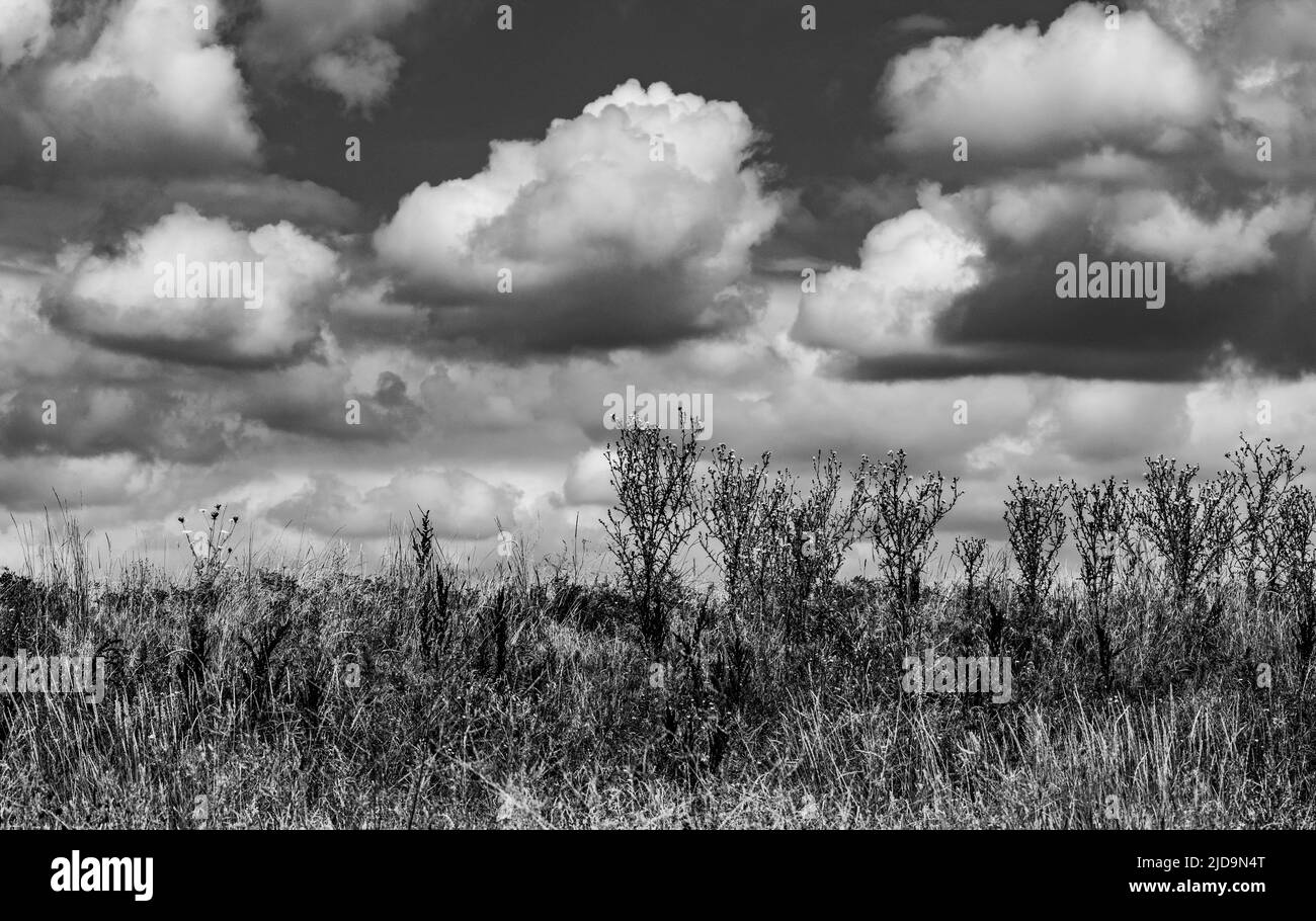 Shite cloud Black and White Stock Photos & Images - Alamy