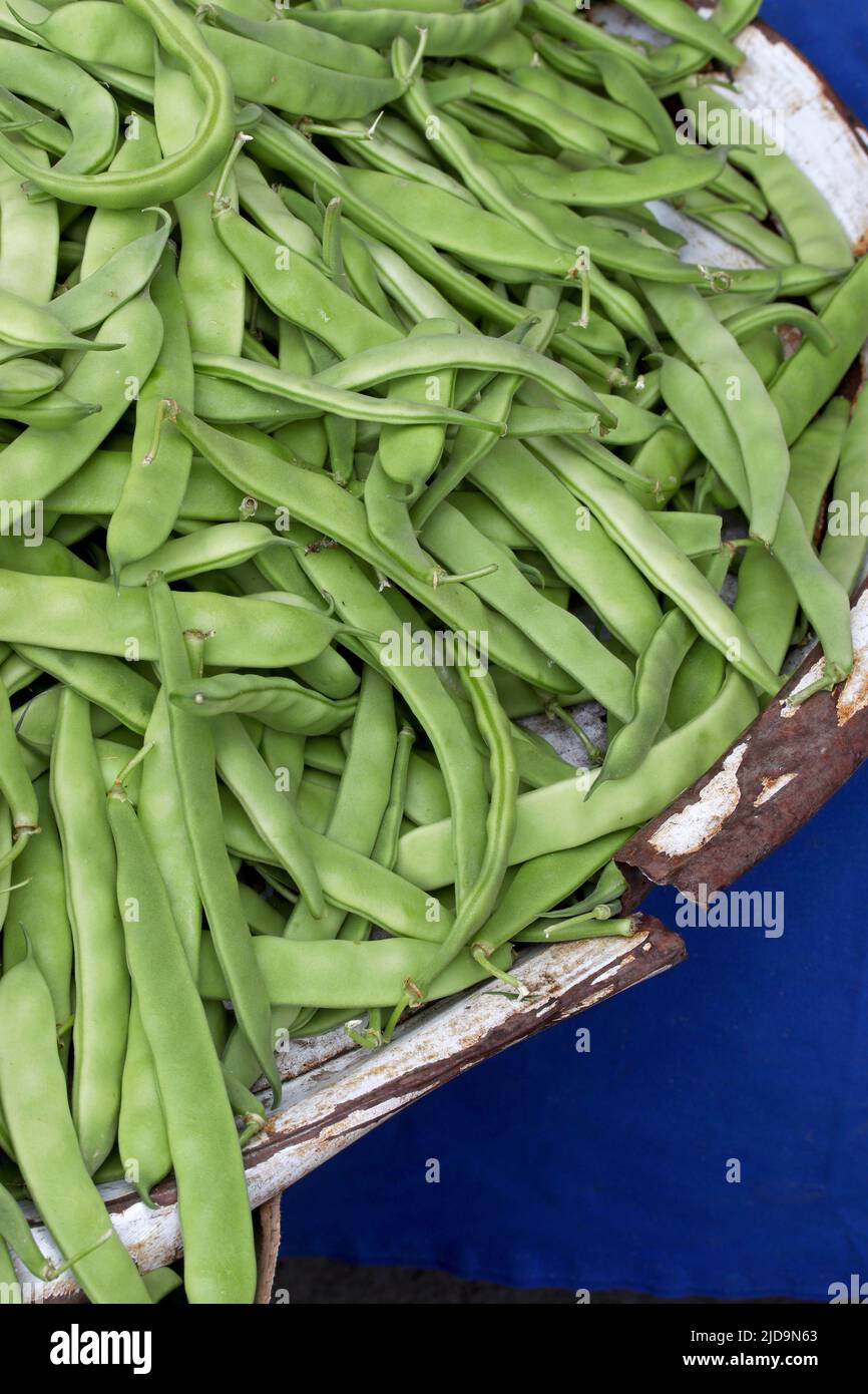 Garden fresh green beans sale hi-res stock photography and images - Alamy