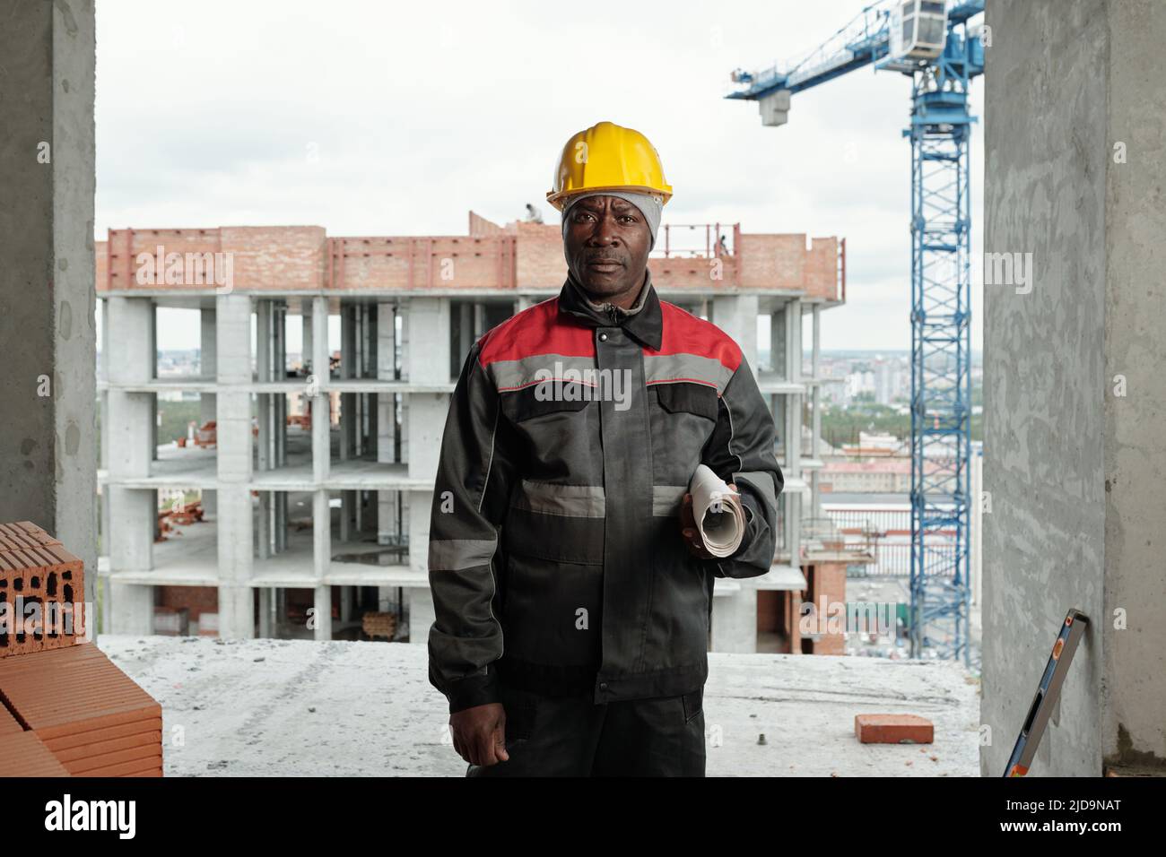 Mature African American builder with rolled blueprint looking at camera ...