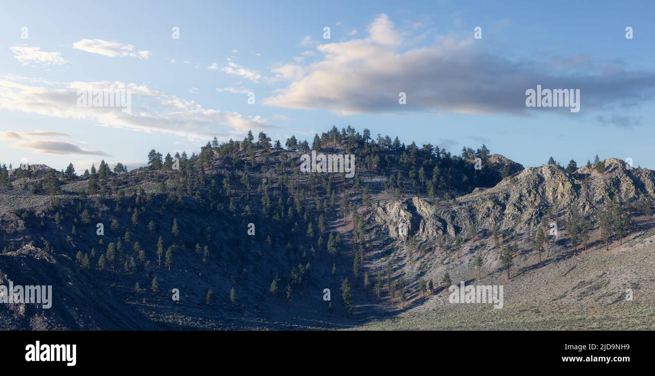 Dry rocky desert mountain landscape with trees Stock Photo - Alamy