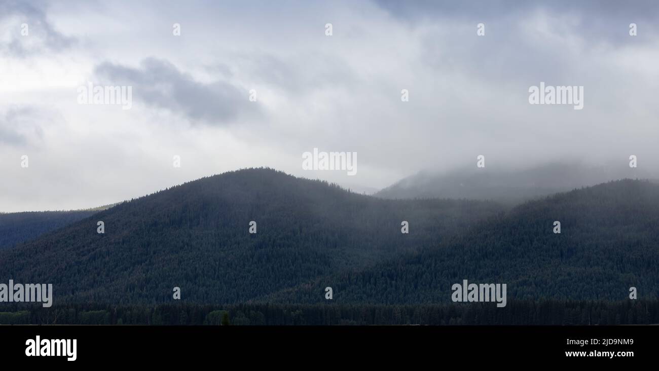 Rainy spring morning hi-res stock photography and images - Alamy