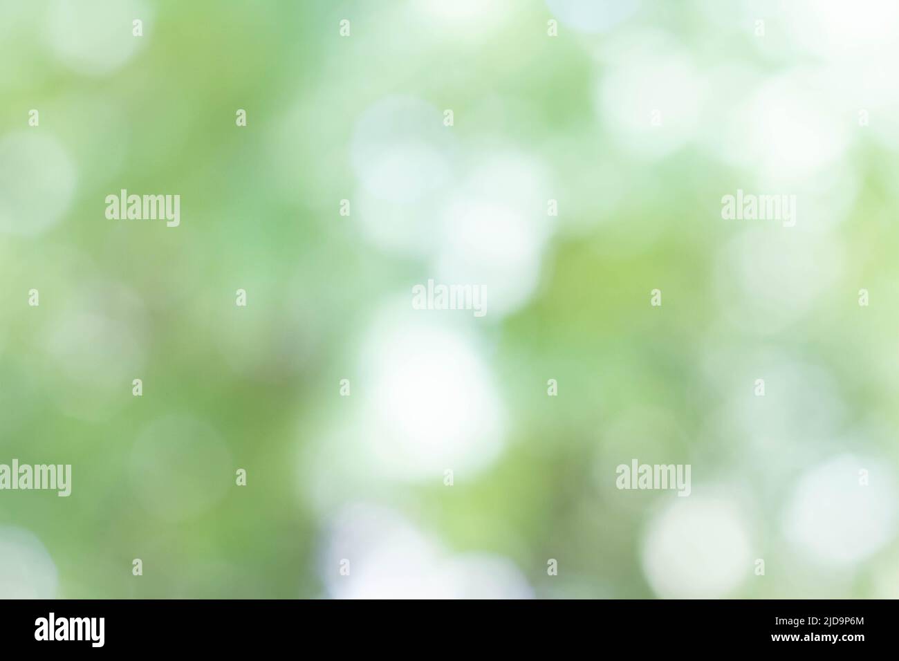 Abstract background. Background in blur out of focus. Texture in shades of green. Bokeh in the ...