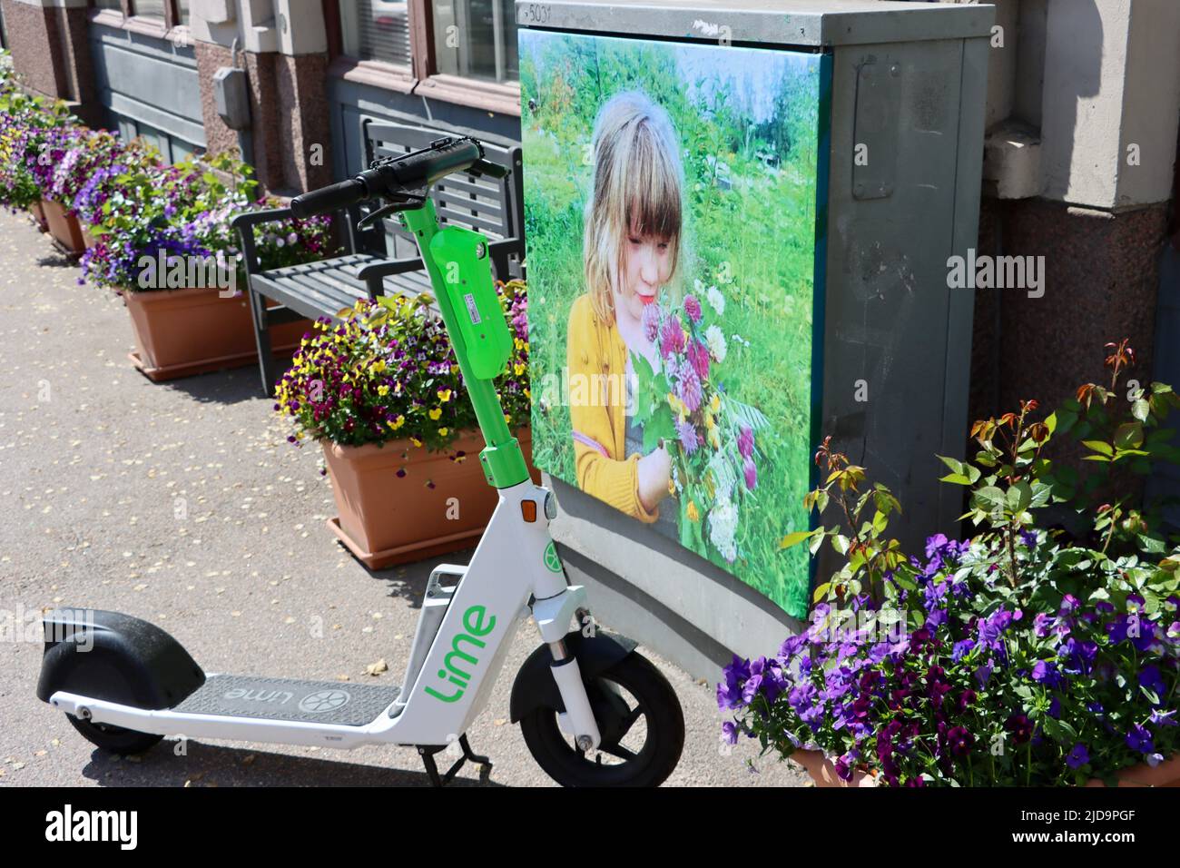 Flower pots on Töölönkatu street in Helsinki, Finland June 2022 Stock ...