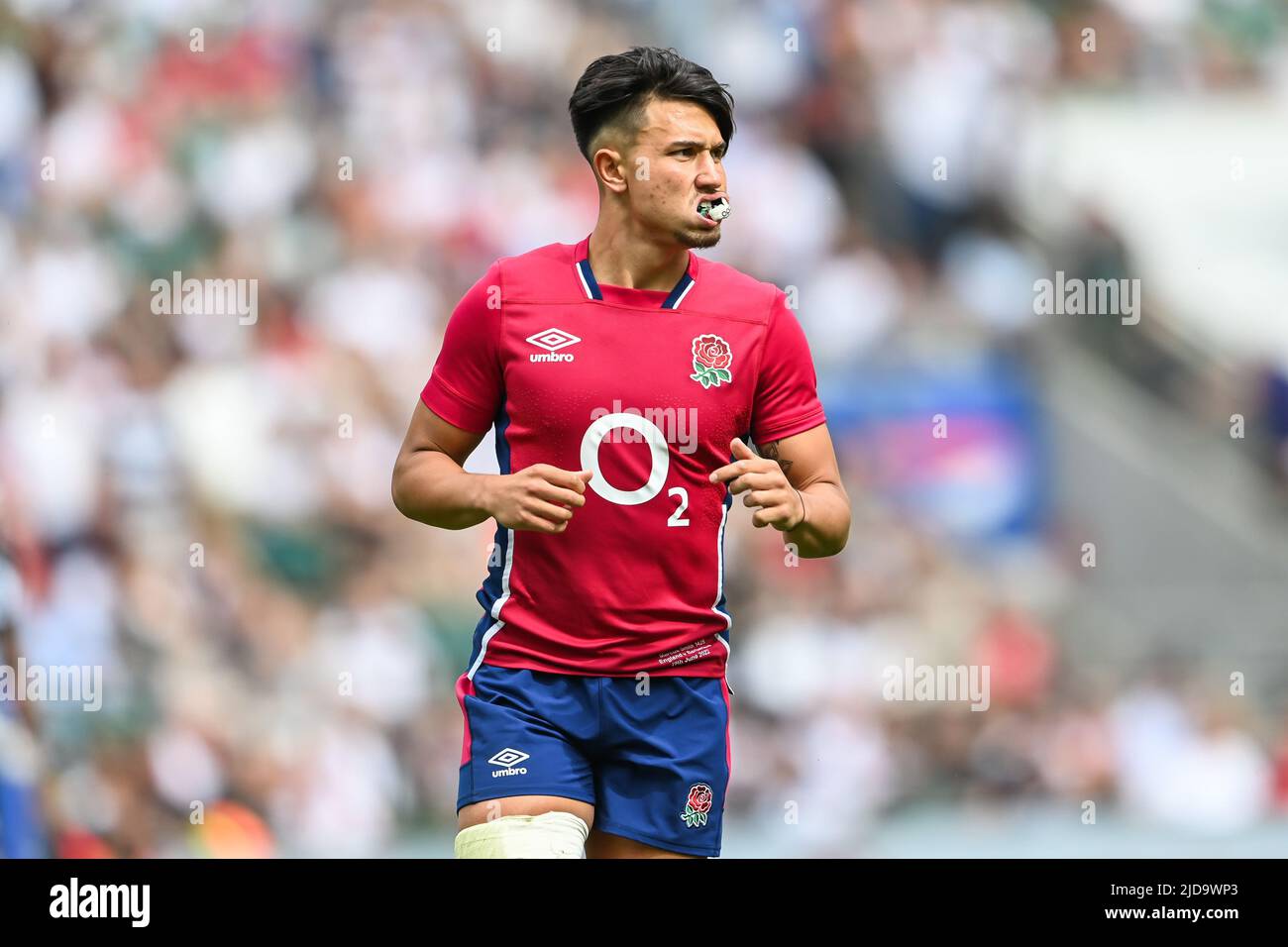 Marcus Smith of England during the game Stock Photo - Alamy