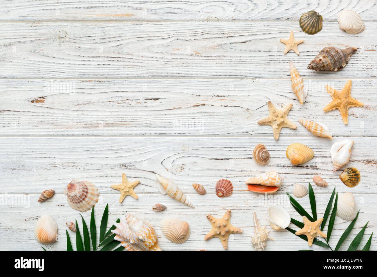 Summer time concept Flat lay composition with beautiful starfish and ...