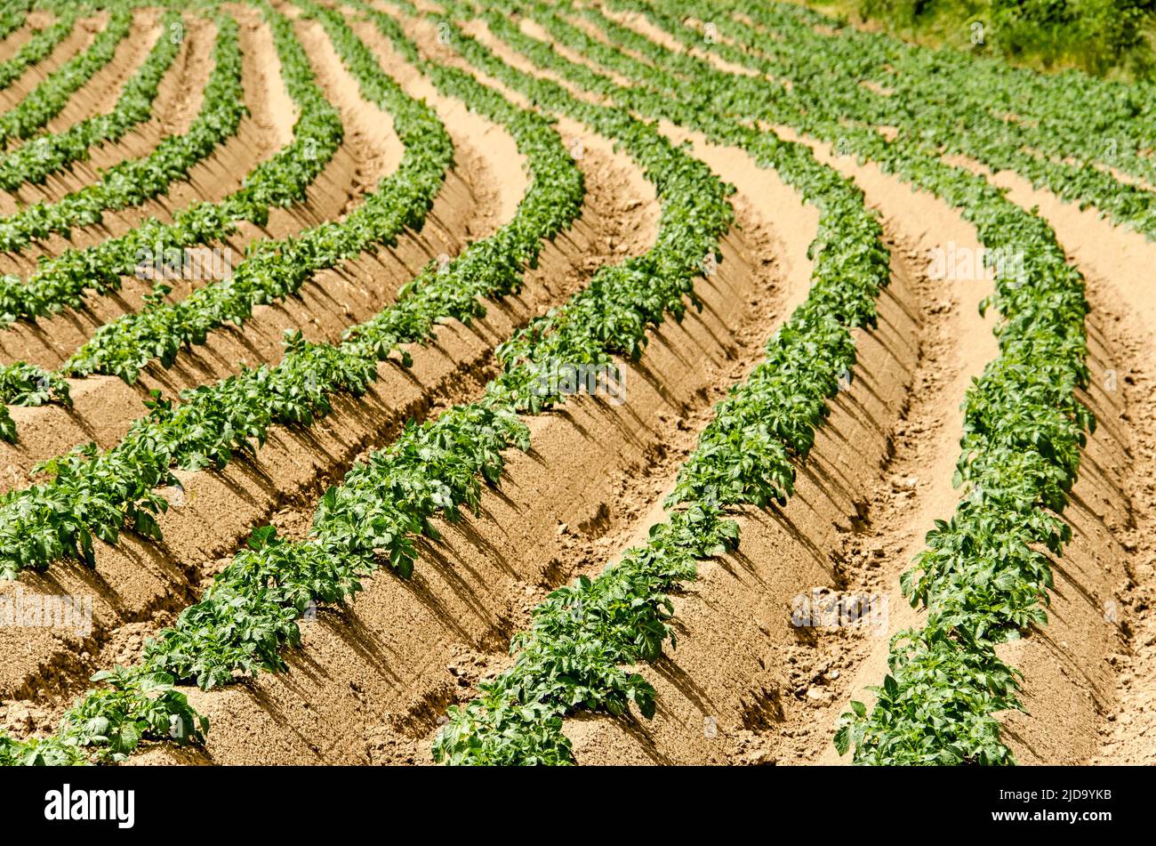 Loess soil hi-res stock photography and images - Alamy