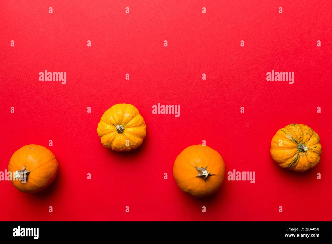 Autumn composition of little orange pumpkins on colored table ...