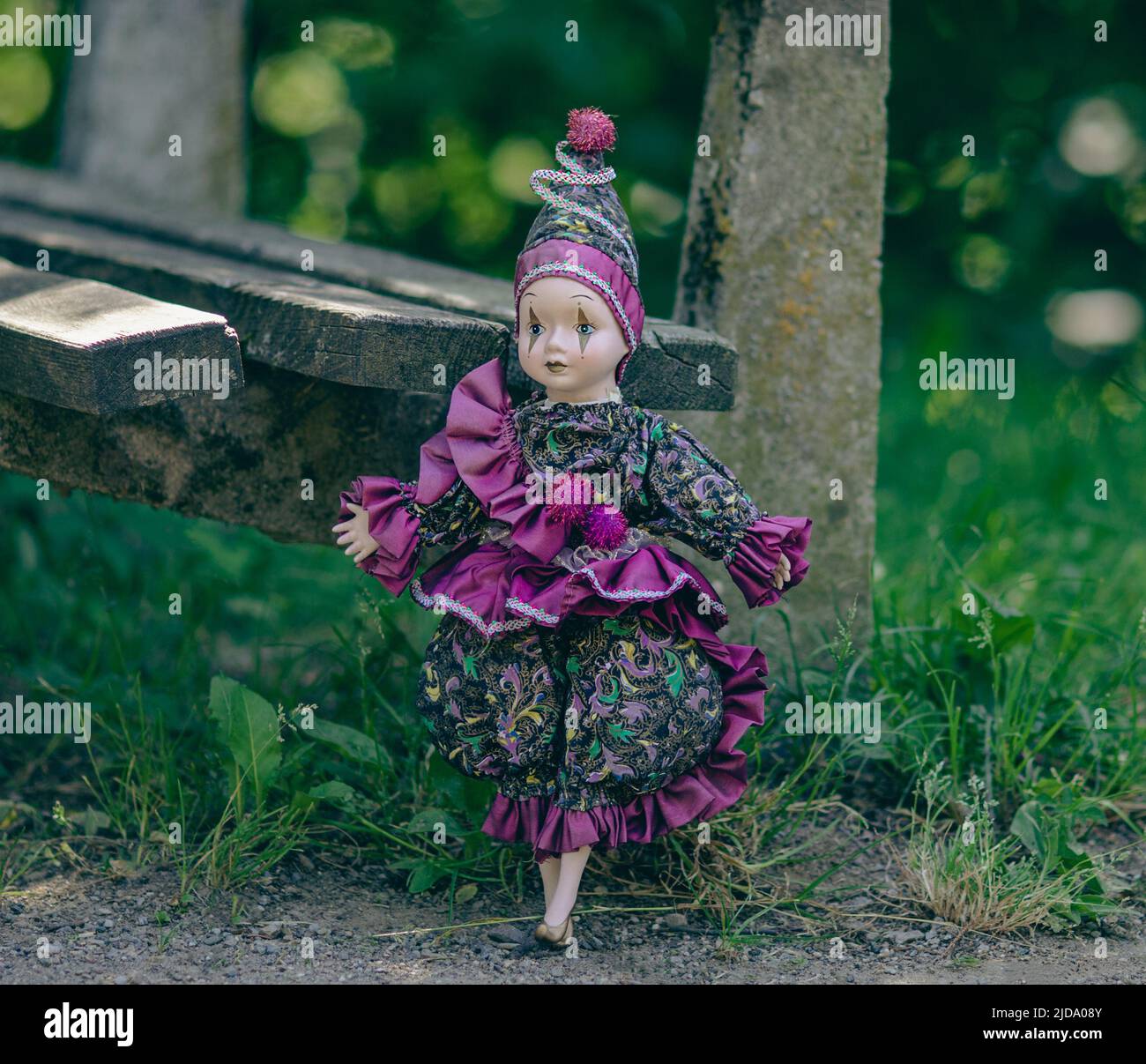 Harlequin lace hi-res stock photography and images - Alamy