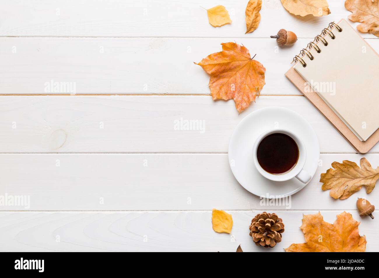 Autumn composition: fallen leaves and craft sketchbook mock up on ...