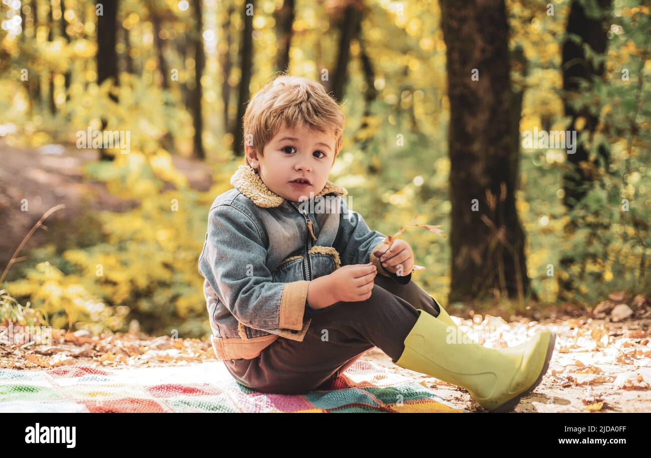 Hello Autumn bye Summer.Cute boy with Autumn Leaves on Fall Nature ...