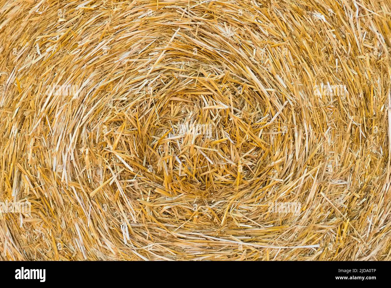 Close-up of the central part of hay bale Stock Photo - Alamy