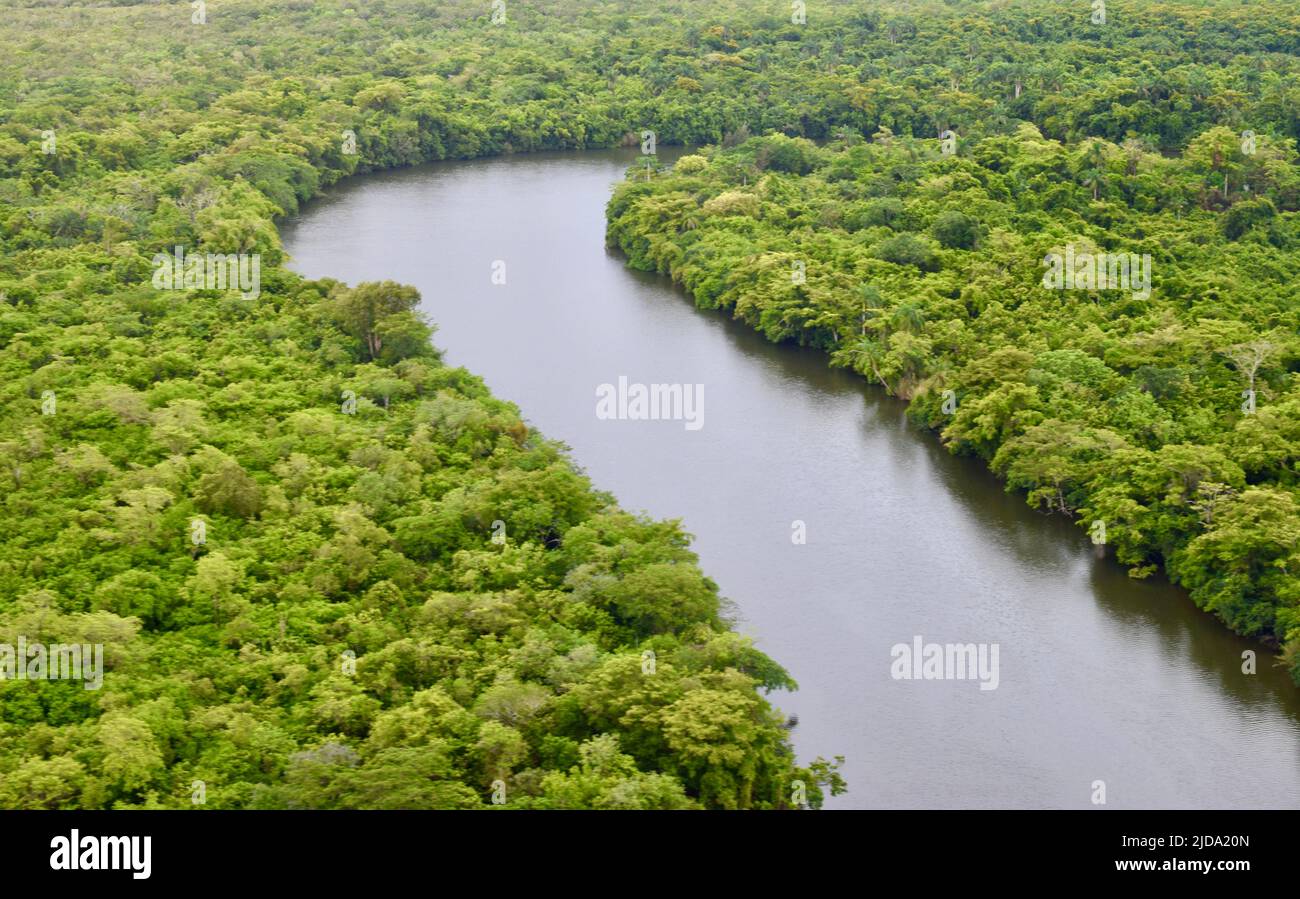 An aerial view of a river surrounded by lush, green foliage on the ...