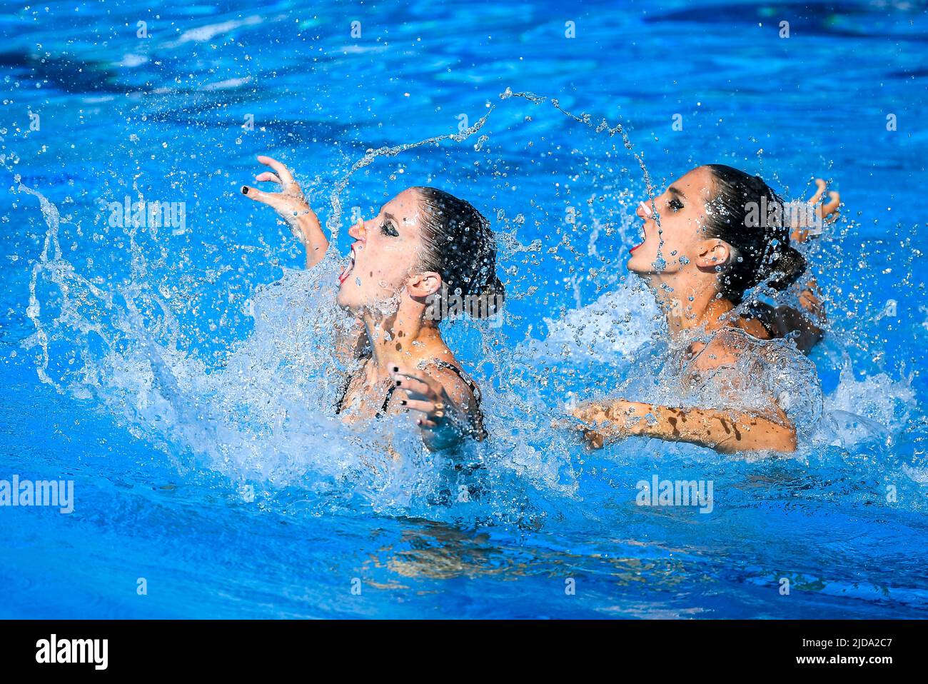 Alexandri anna maria hi-res stock photography and images - Alamy